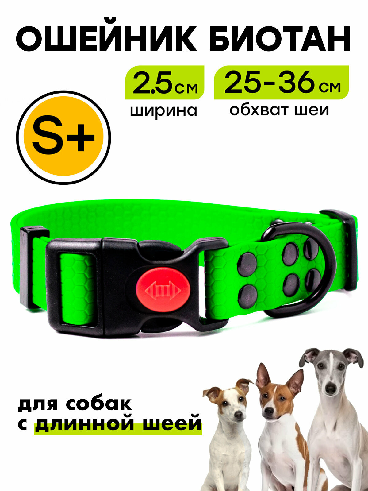 Ошейник из биотана 25-36 см (S+), 25 мм, Woofy "Iron", водостойкий, для небольших и средних собак, зеленый