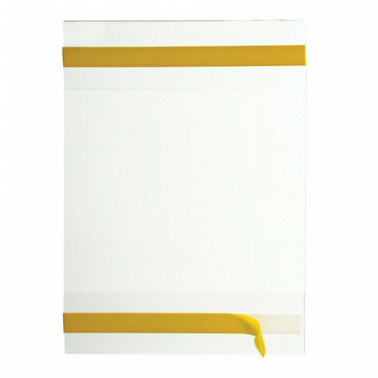 Карманы информационные самоклеящиеся PS-T, А5, вертикальные, комплект 10 шт, ПЭТ, толщина 0,3 мм, 171886