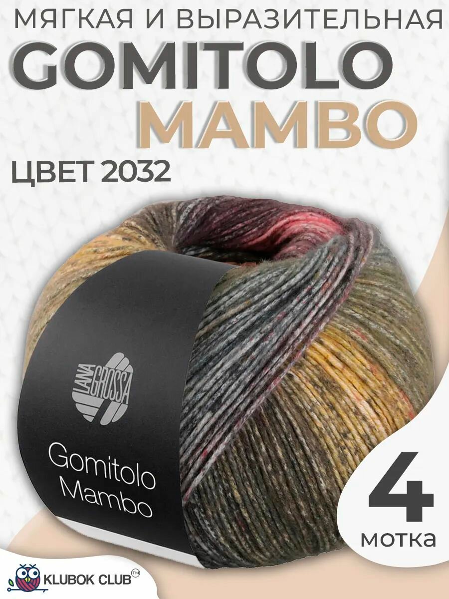Пряжа для вязания Lana Grossa Gomitolo Mambo секционный принт, цвет 2032, 4 мотка
