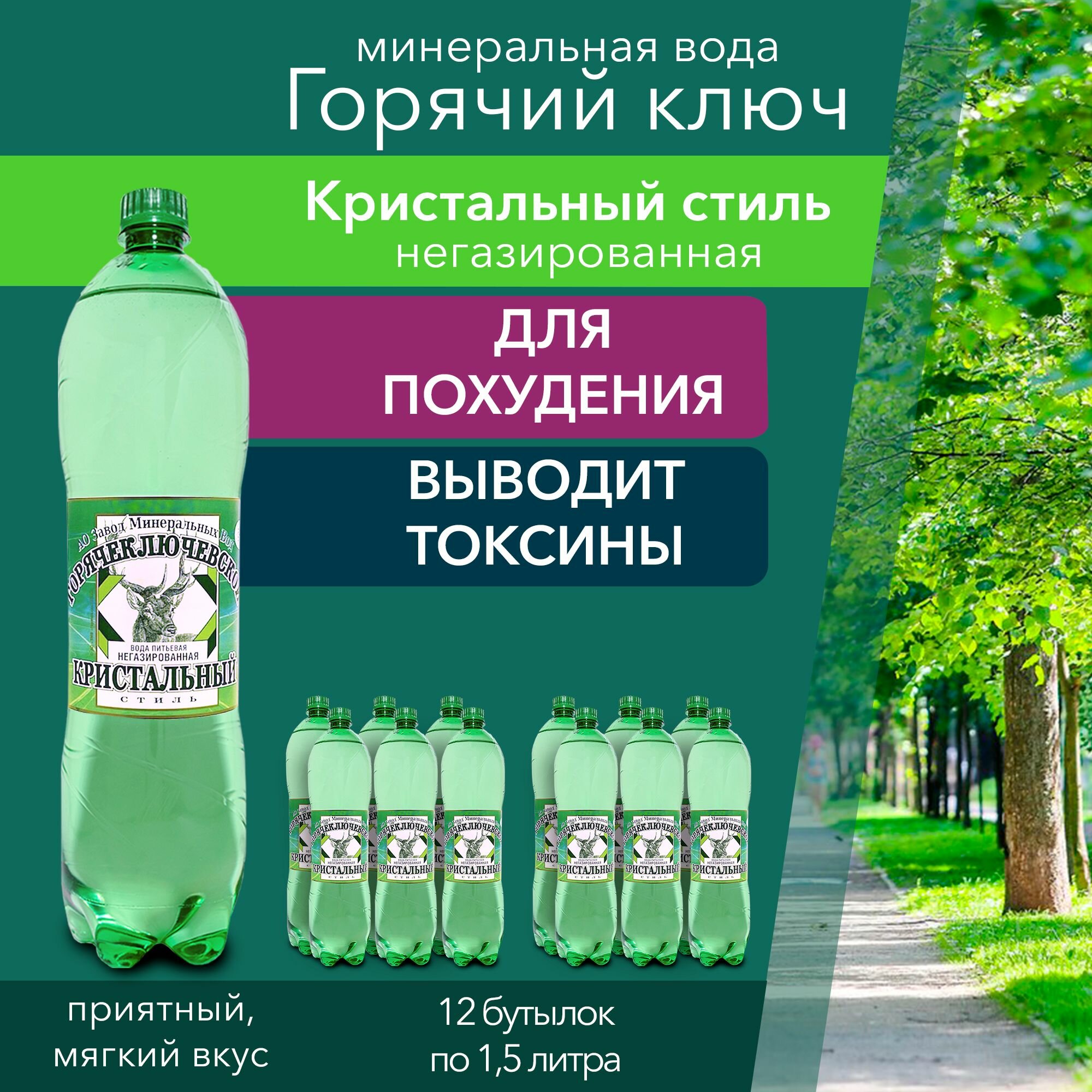 Вода Горячий Ключ Кристальный стиль 1.5л*12 шт. Вода минеральная негазированная природная лечебная, выводит токсины,