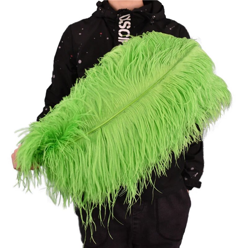 Страусиные перья WyFeay, белые и черные, 50-75 см Зеленый, Big50-55cm 20-22inch, Apple green