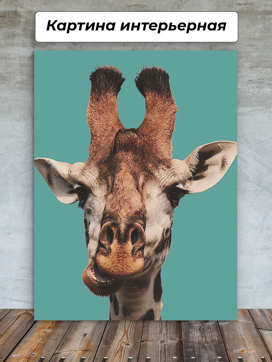 Картина на стену 30х40 Смешной жираф