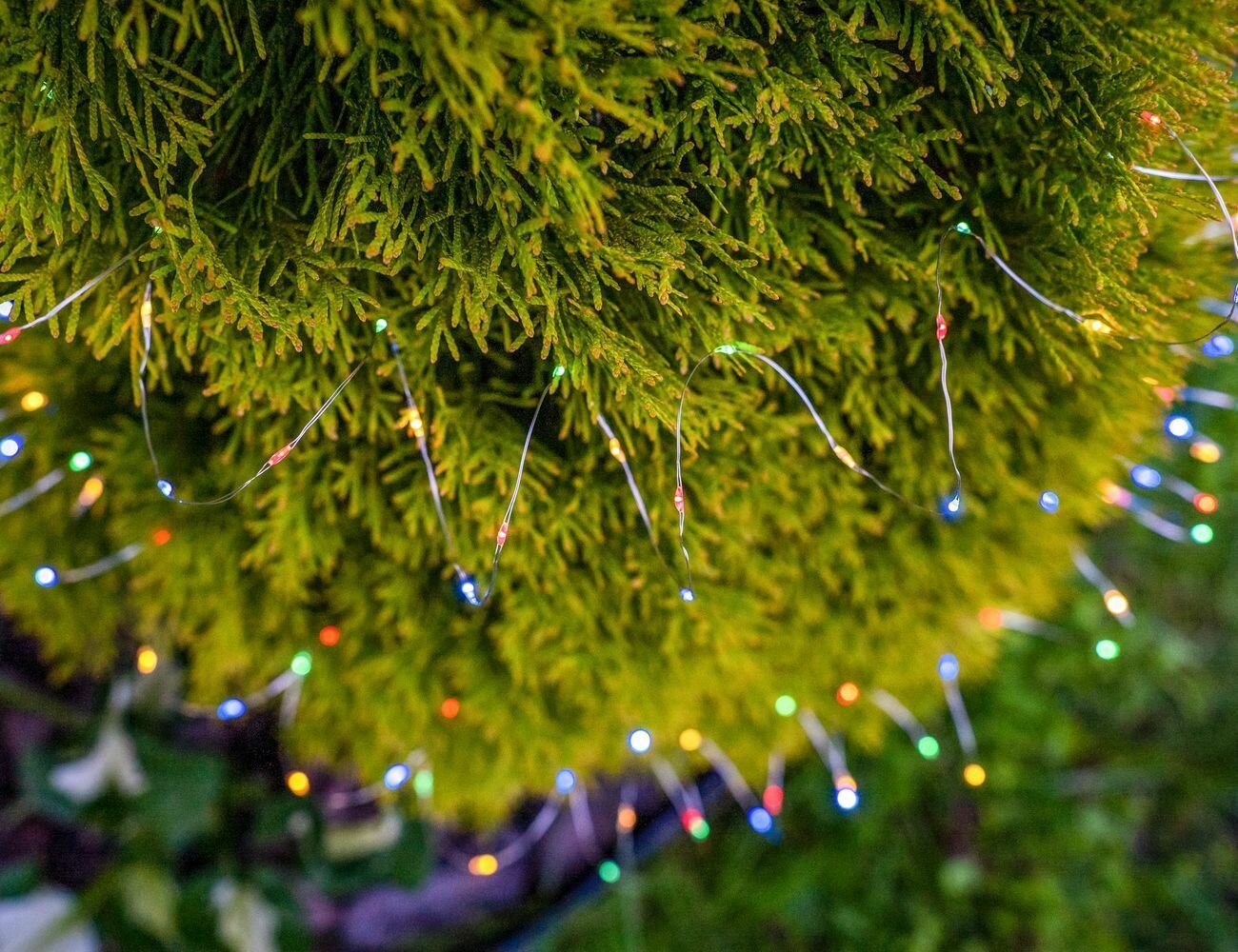 Садовая гирлянда Solar роса на солнечной батарее, 100 разноцветных микро LED-огней, 5+2 м, серебристая проволока, Koopman International CZ6500710