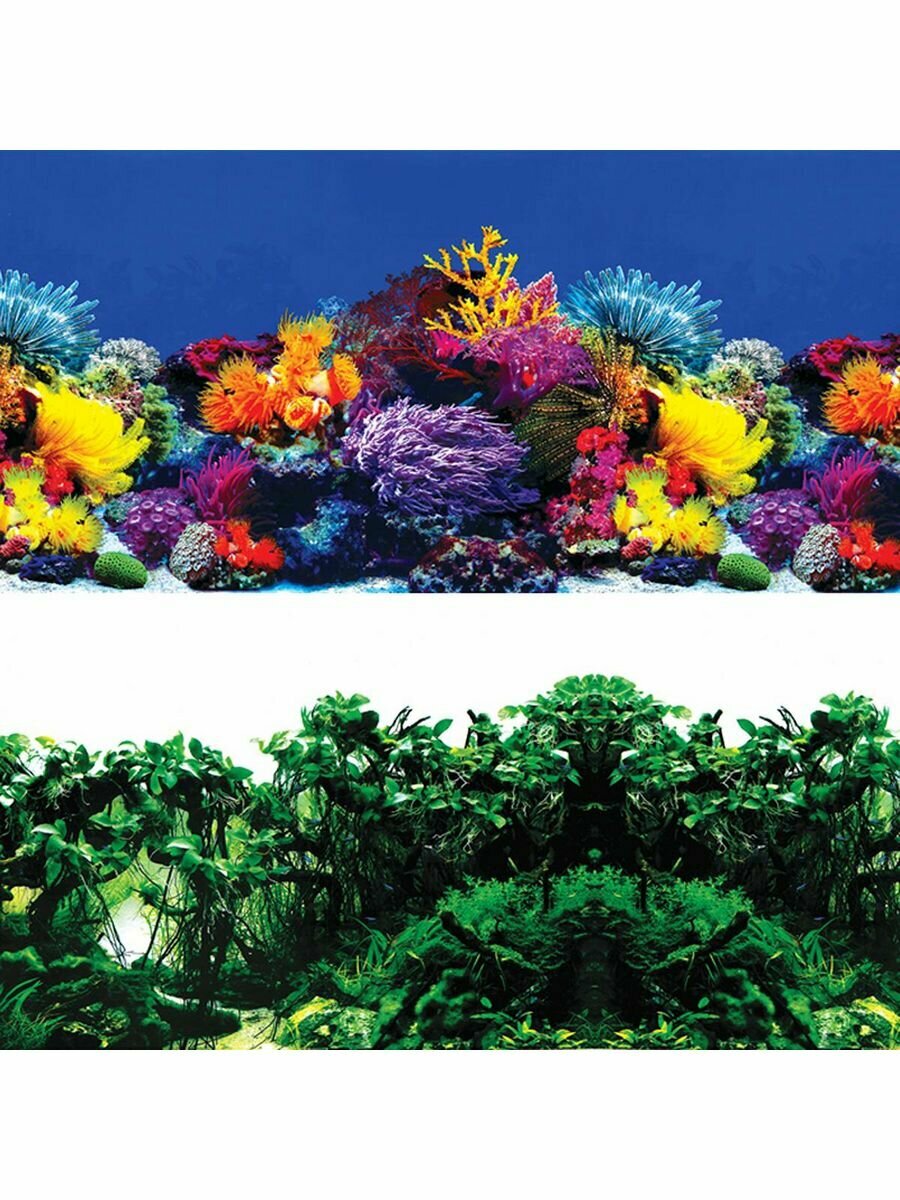 Фон Laguna 50*100см "Обитатели рифа/Джунгли"