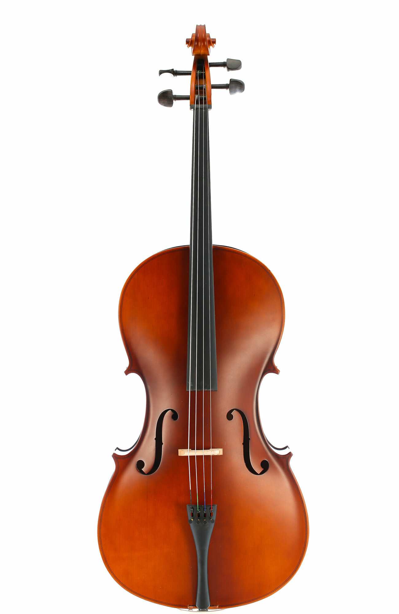 Виолончель 4/4 Fabio F-019A