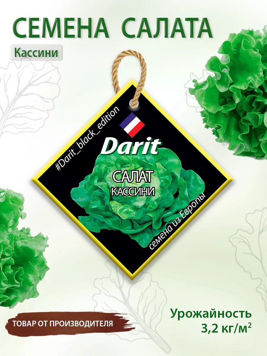 Семена салата кочанного Кассини Black Edition