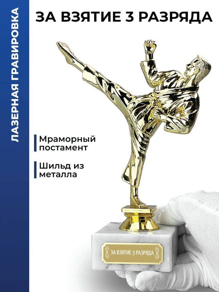 Статуэтка Карате "За взятие 3 разряда" (19,5 см)