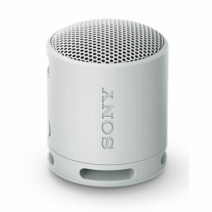 Портативная беспроводная колонка Sony SRS-XB100 (белый)