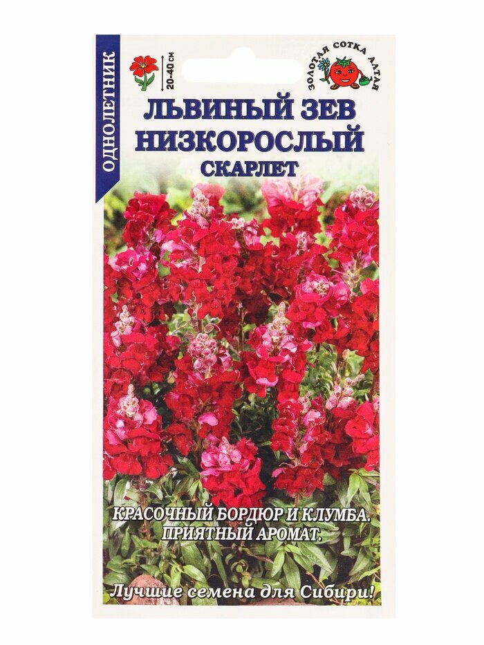 Семена Львиный зев низкорослый «Скарлет», 0.1 г, «Золотая Сотка Алтая»