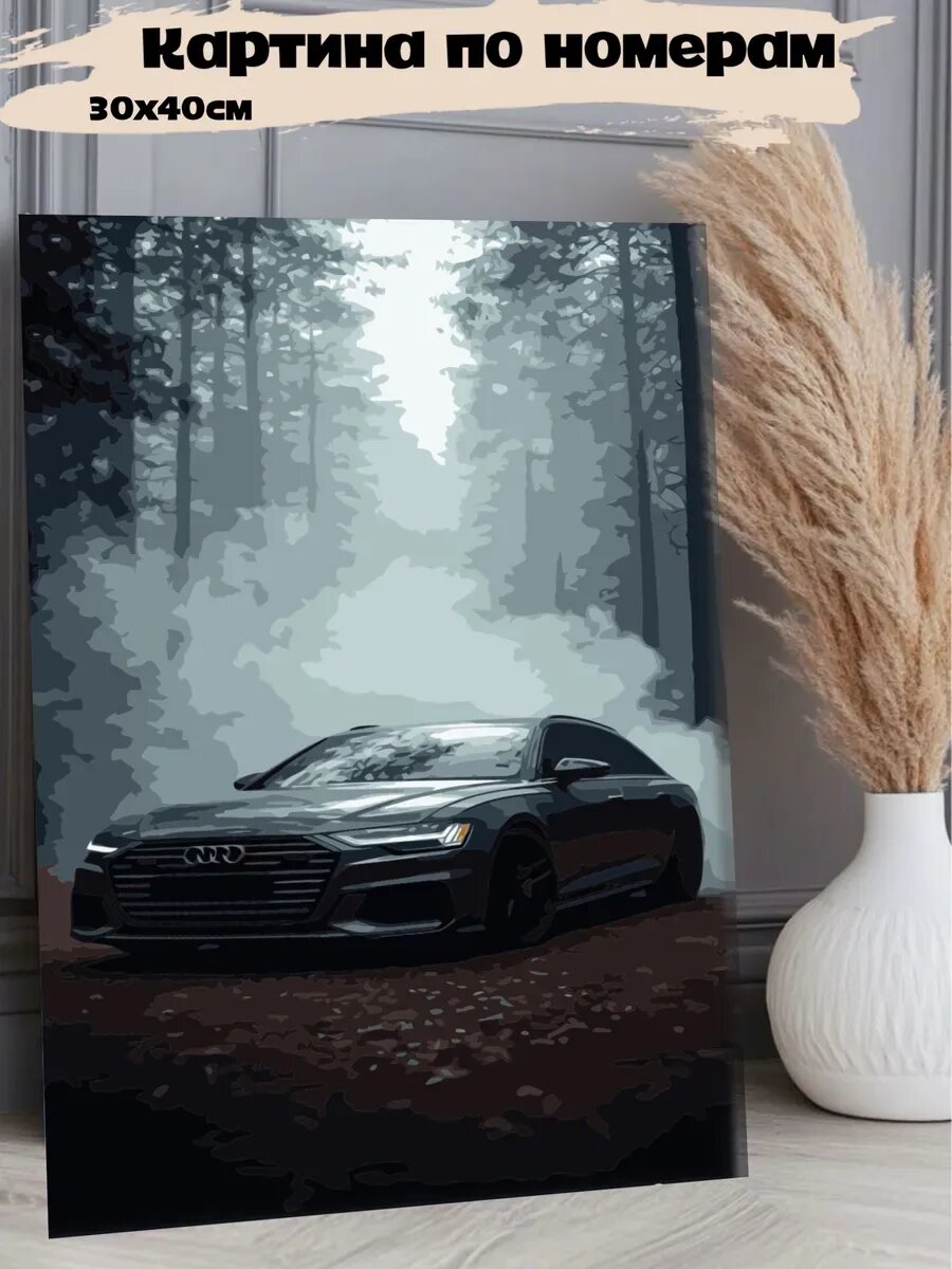 Картина по номерам ауди