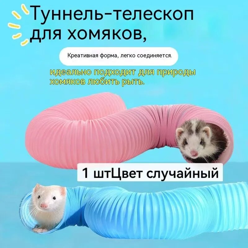 1 штЦвет Прогулочныйшардляхомяка