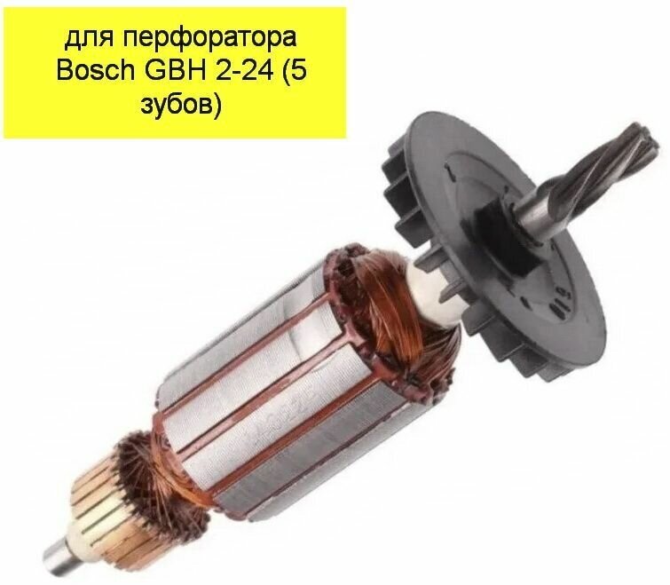 Якорь (ротор) для перфоратора Bosch GBH 2-24 (5 зубов)высокого качества