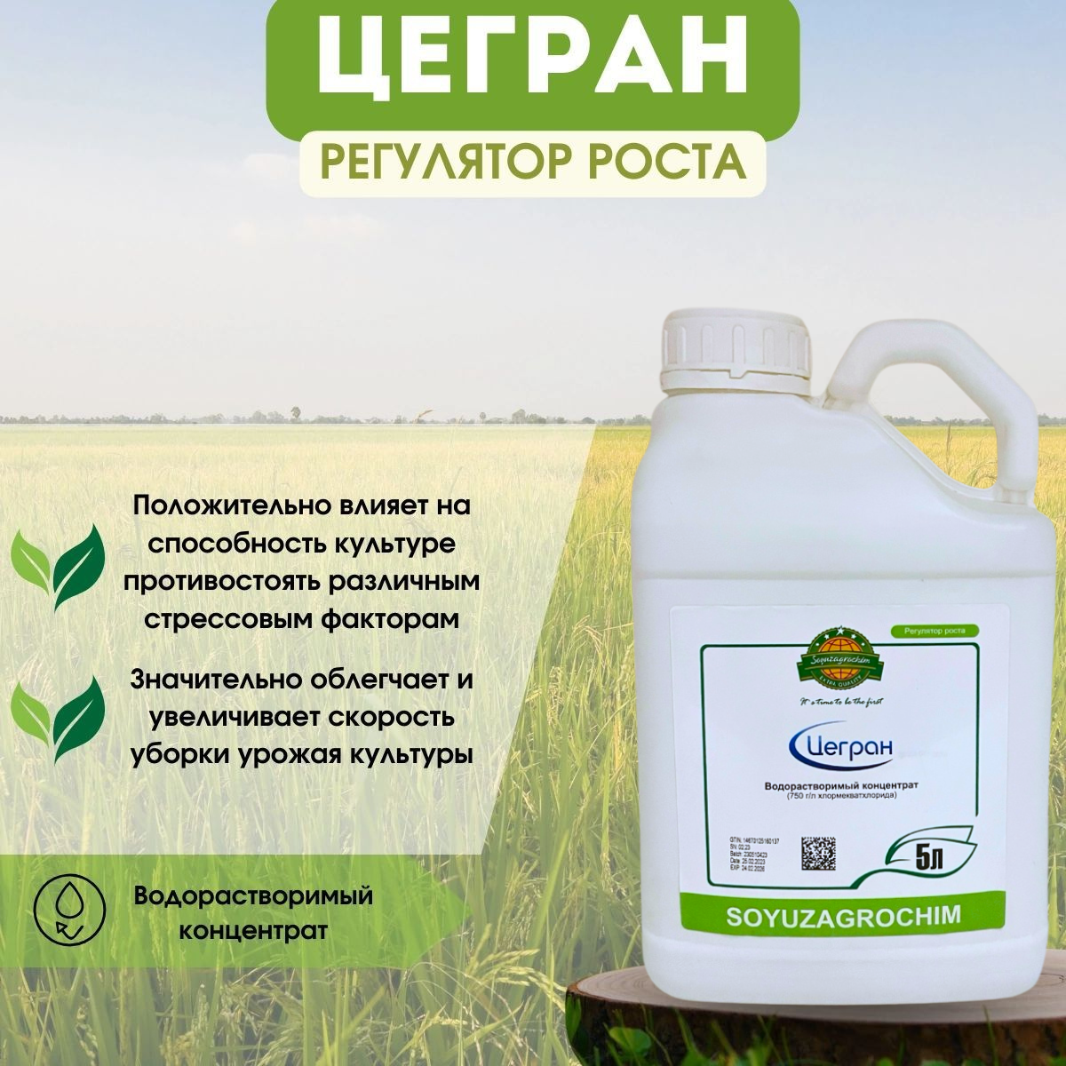 Цегран, ВК регулятор роста растений, увеличения урожайности зерновых культур, 5 л