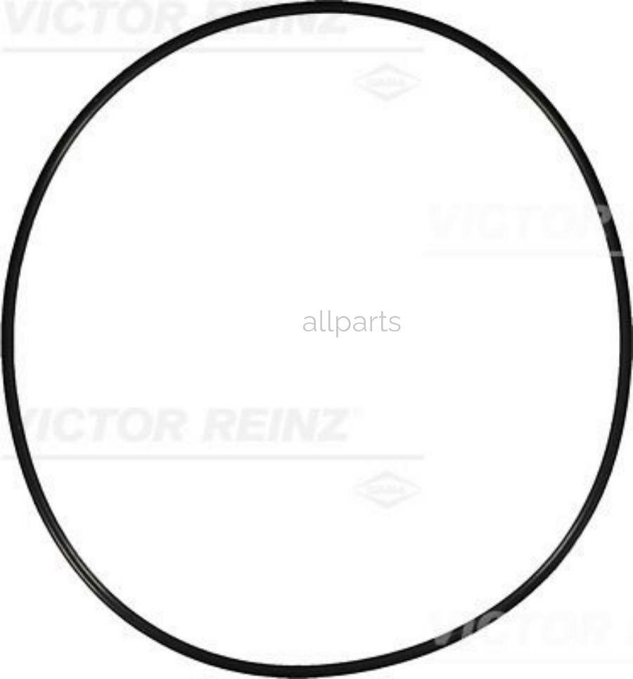 VICTOR REINZ 40-76905-00 Уплотняющее кольцо VICTOR REINZ 407690500