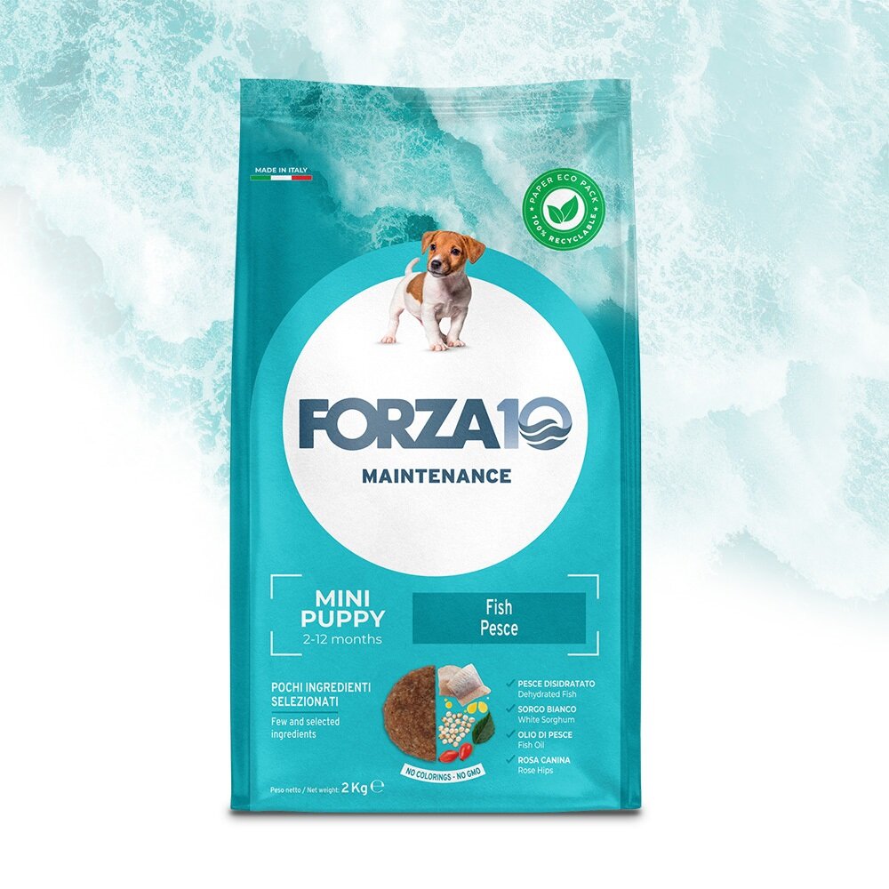 Forza 10 Puppy junior S/M pesce 2 kg/Полнорационный сухой корм из рыбы для щенков мелких и средних пород 2 кг.