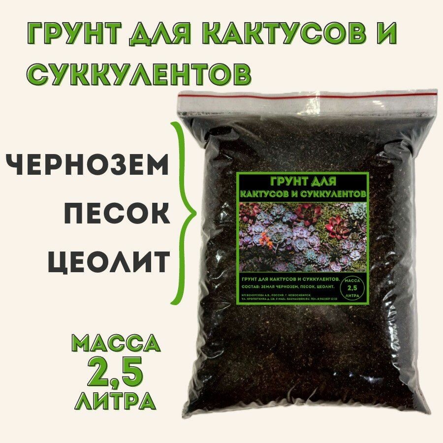 Грунт для кактусов и суккулентов