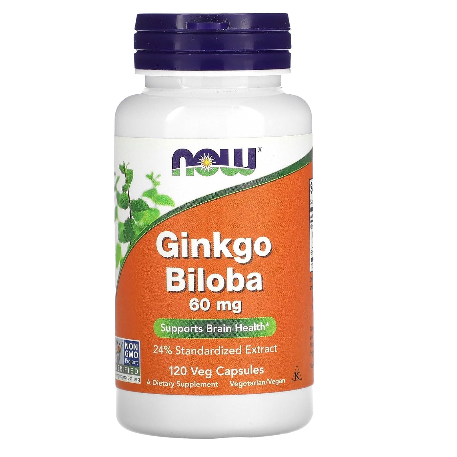 Гинкго билоба, 60 мг, 120 капсул, NOW Foods, GINKGO BILOBA, антиоксидант