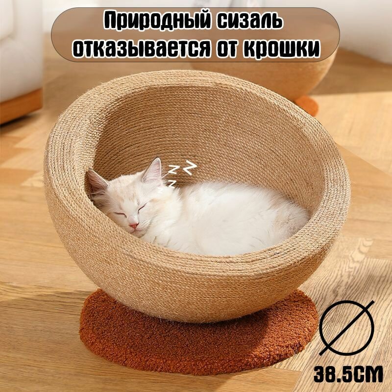 Когтеточка
