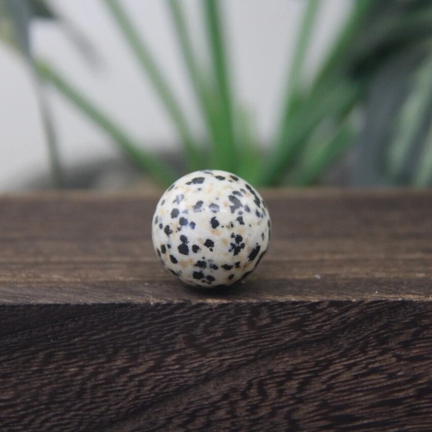 Набор хрустальных шариков 20 мм Dalmation Jasper