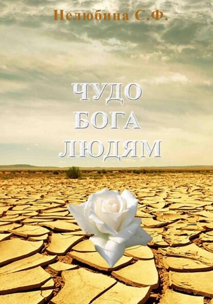 Чудо Бога людям. Подлинные житейские рассказы [Цифровая книга]