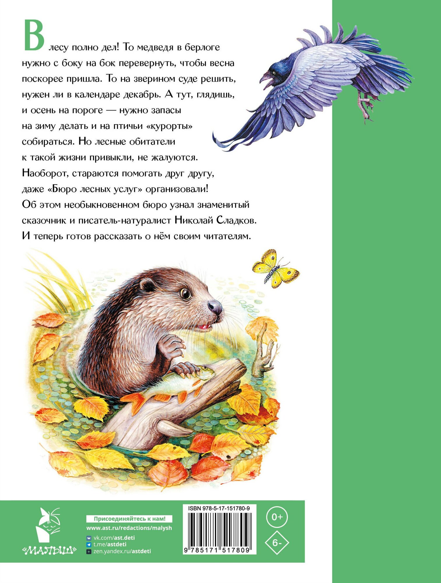 Бюро лесных услуг — фото 1