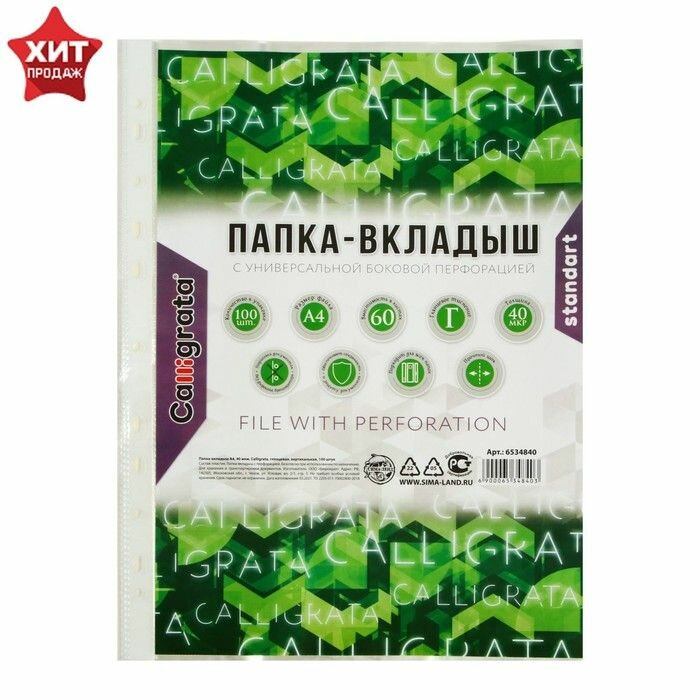Файл-вкладыш Calligrata А4, 40 мкм, глянцевый, вертикальный, 100 штук 6534840