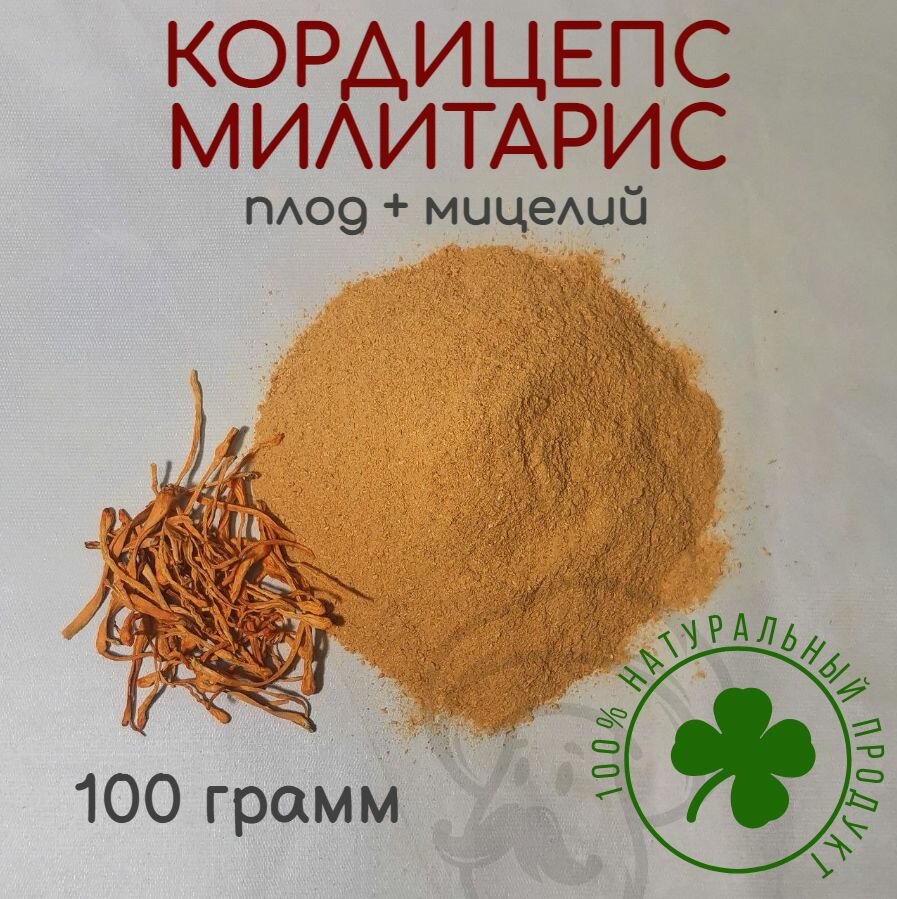 Кордицепс милитарис (Cordyceps militaris) плодовое тело и мицелий 100г