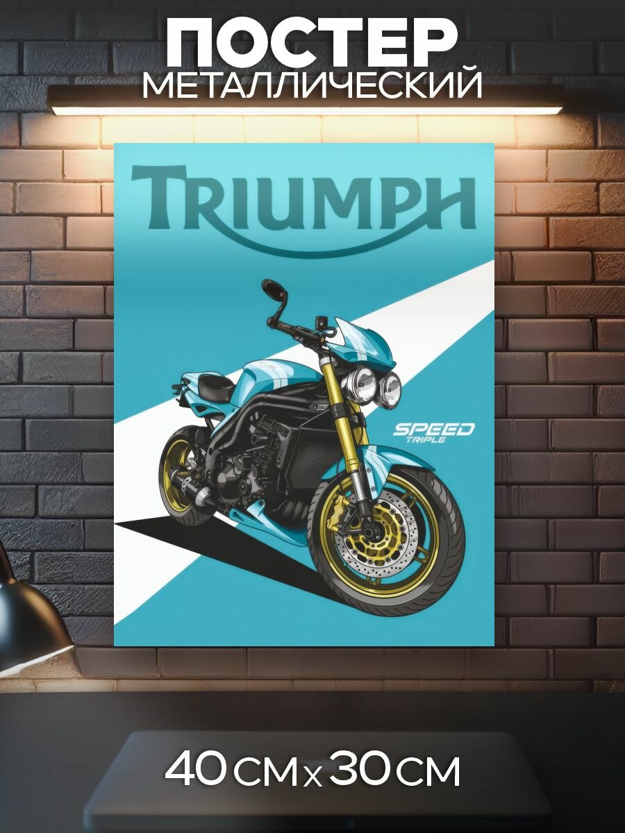 Постер на стену металл Triumph speed triple