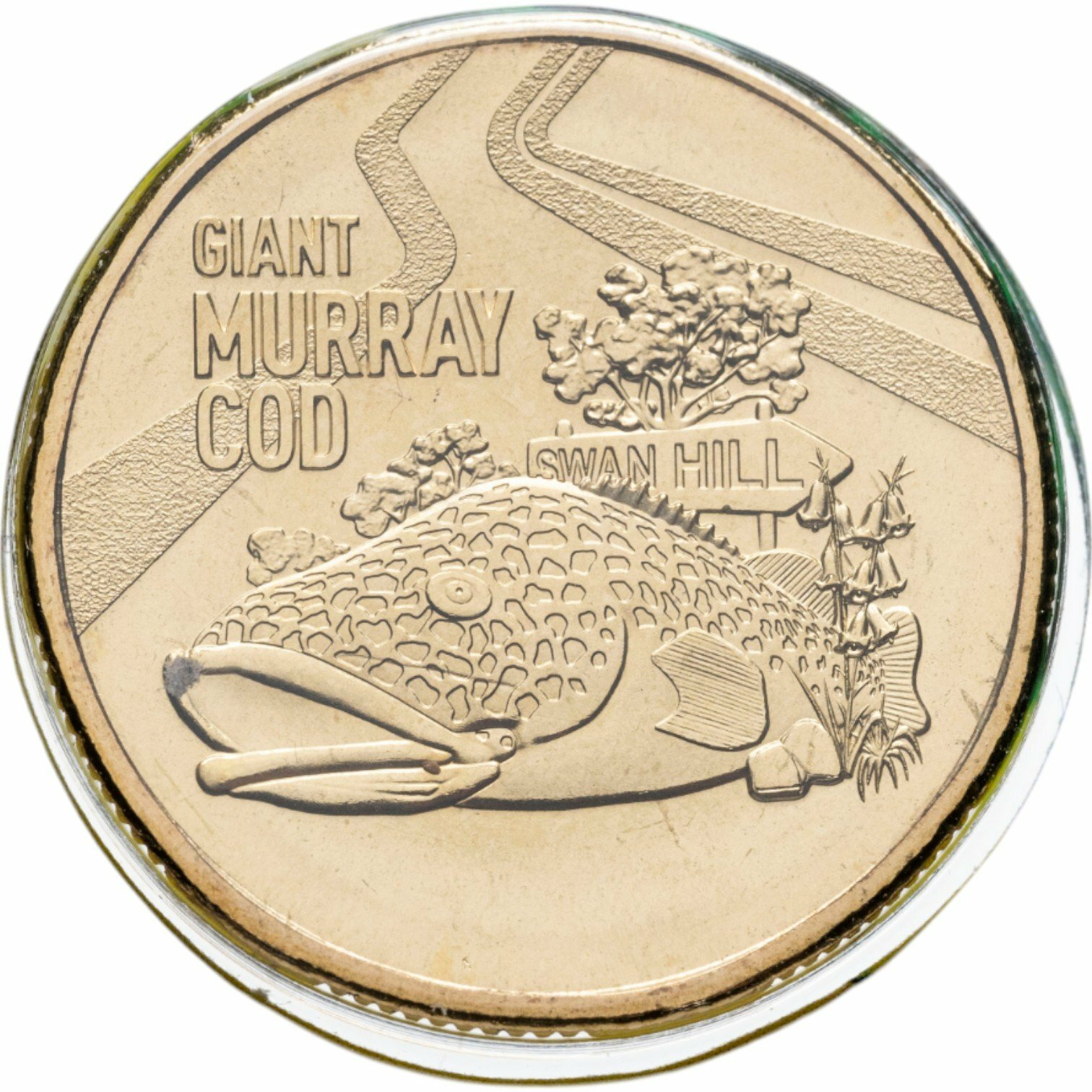 Австралия 1 доллар 2023 "Австралийские большие вещи - гигантская треска Мюррея", Алюминиевая бронза, в сохранности UNC