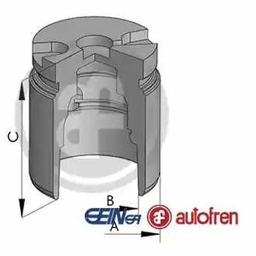 Поршень тормозного суппорта Seinsa/Autofren D025441