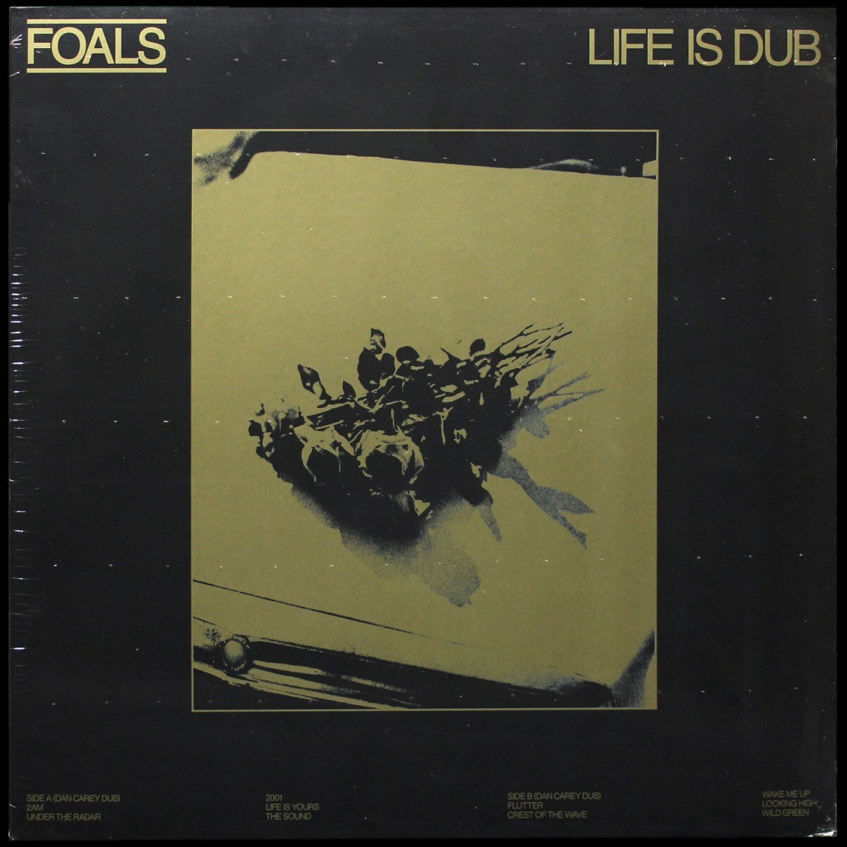 Виниловая пластинка Warner Foals – Life Is Dub (цветной винил)