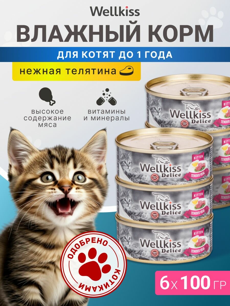Wellkiss Delice Влажный корм (консервы) для котят, нежная телятина, 100 гр. * 6 шт.