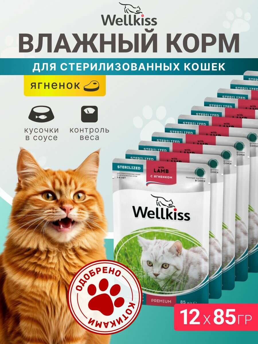 Wellkiss Sterilized Влажный корм (пауч) для стерилизованных кошек, кусочки с ягненком в соусе, 85 гр. 85 гр. * 12 шт.