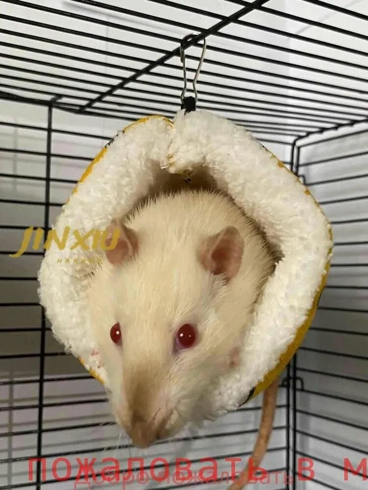 Гамак труба тоннель для крыс желтый 22х10Добро пожаловать в магазин