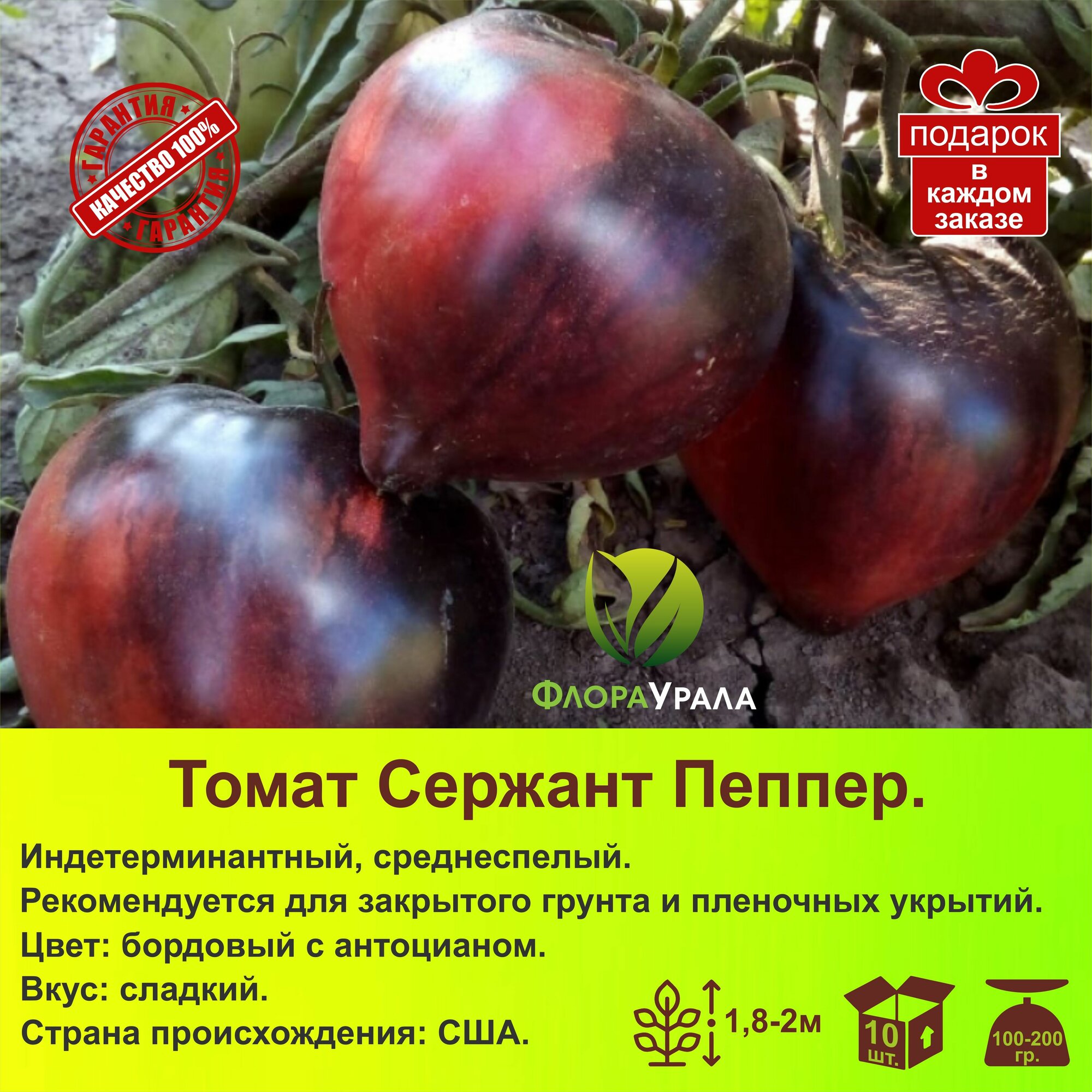 Семена томата Сержант Пеппер, коллекционный сорт (семена из частной коллекции), 10 шт+ 1 сорт в подарок