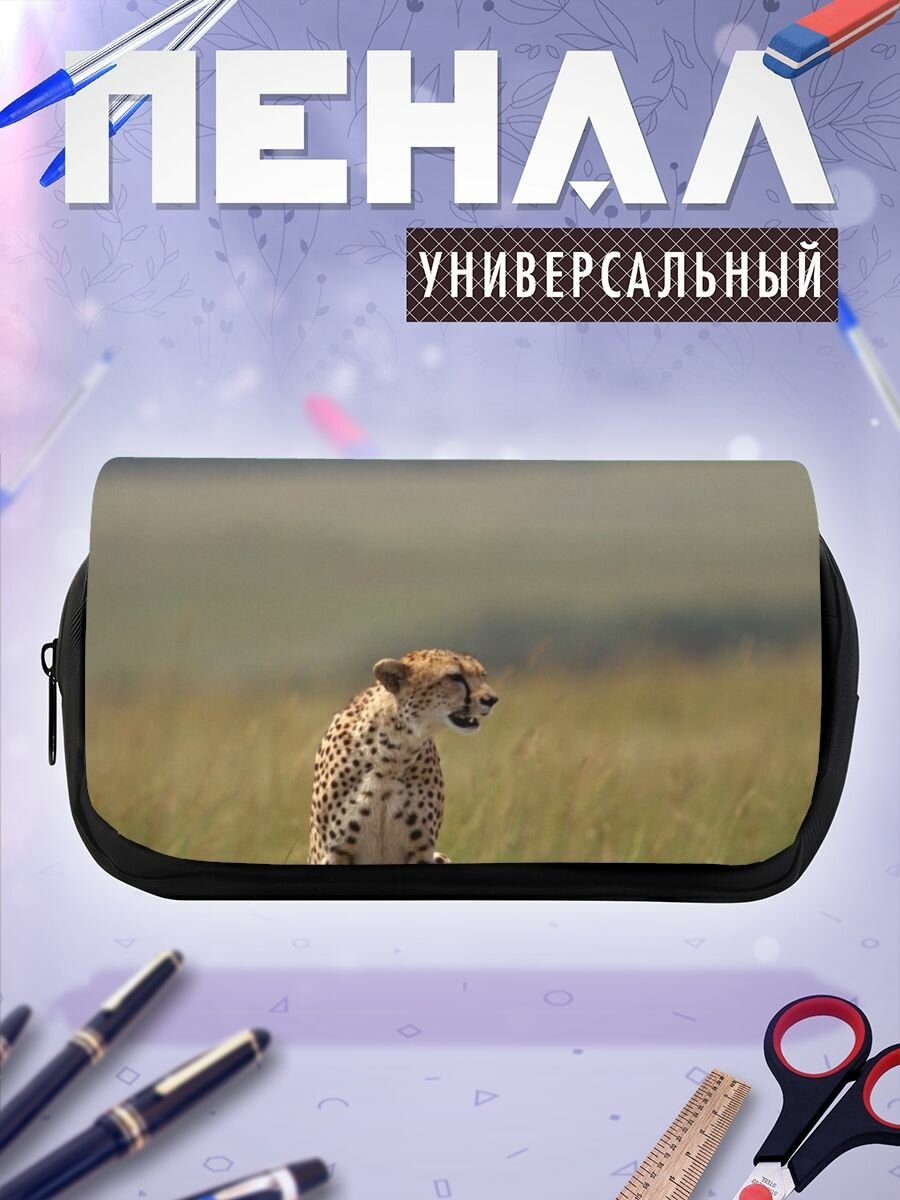 Школьный пенал Гепард кошачьих