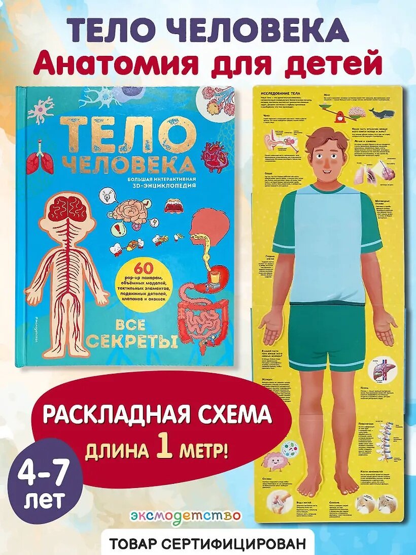 Книга "Тело человека. Все секреты" , 3D, интерактивная энциклопедия