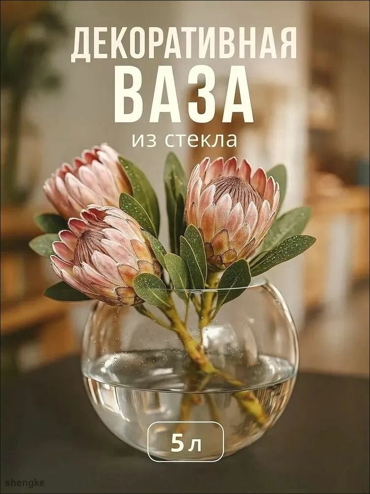 Ваза shengke 5 л, декоративная из стекла, прозрачная, для интерьера дома, вазон