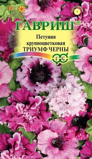 Петуния Триумф Черны крупноцв. 7шт. (Гавриш)