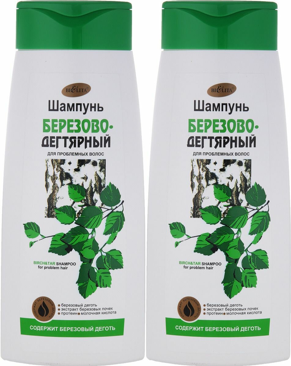 Belita Шампунь для волос Березово-дегтярный, 480мл, 2шт