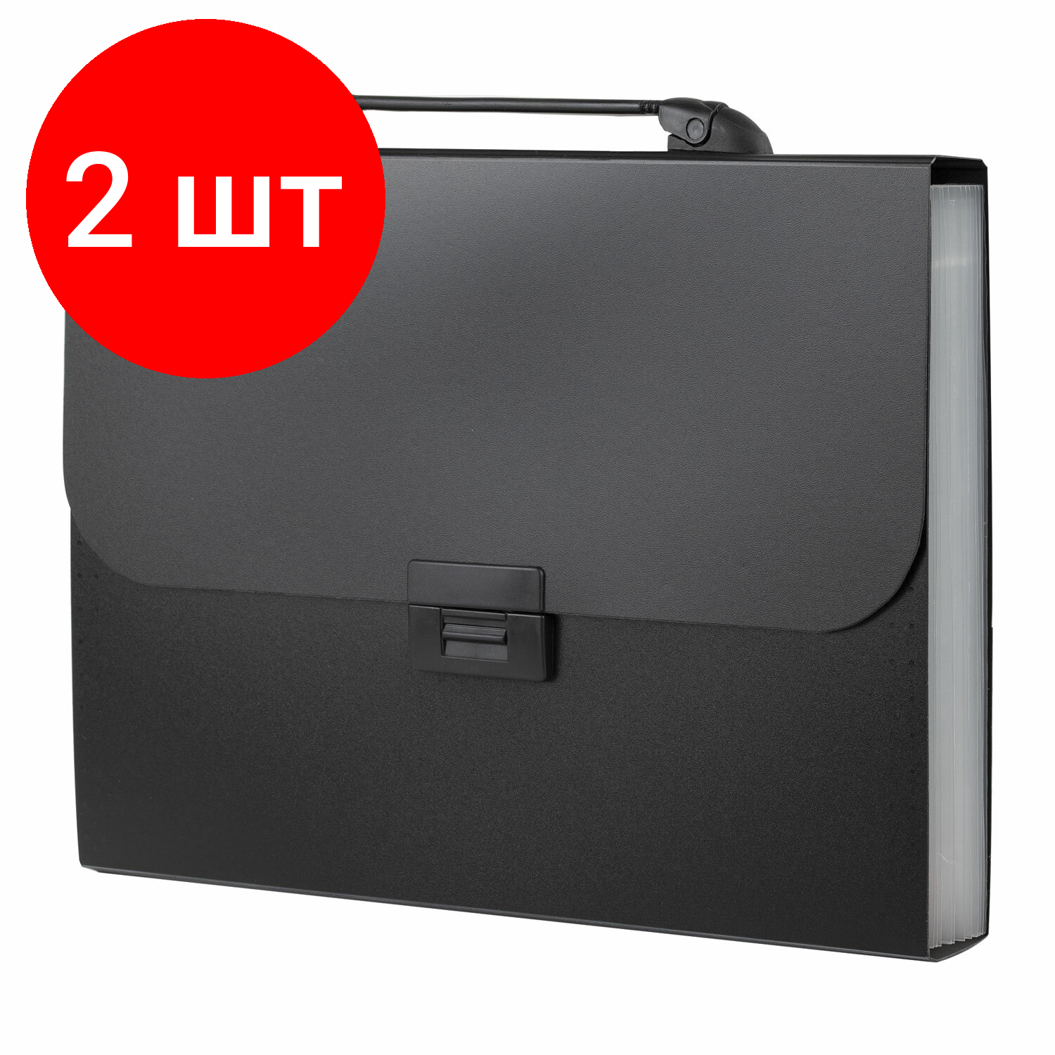 Комплект 2 шт, Папка-портфель пластиковая BRAUBERG "Energy" А4 (330х256х32 мм), 7 отделений, черная, 221204