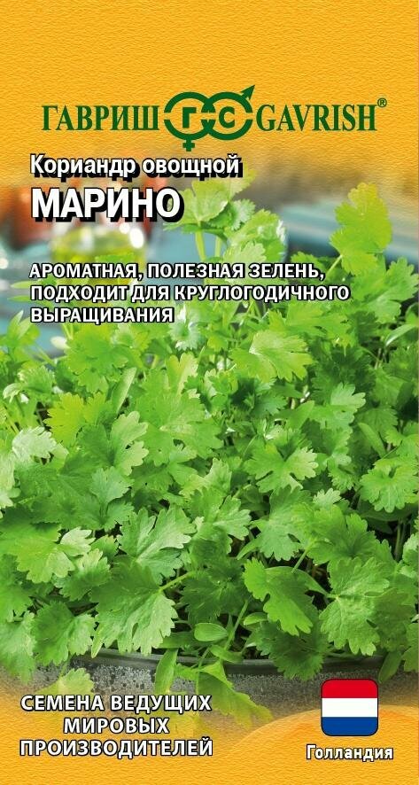 Кориандр (Кинза) Марино 1г Ранн (Гавриш) Голландия