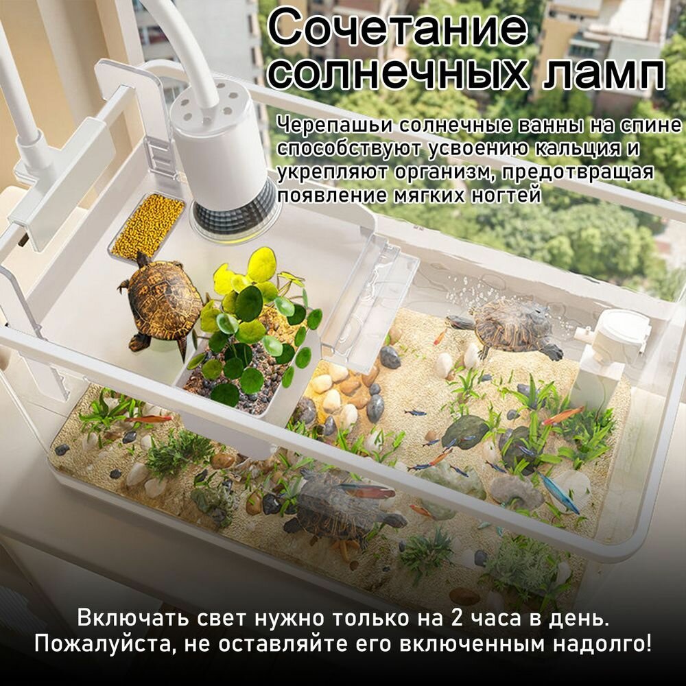 Домашний аквариум для маленьких рыбок и черепах прозрачный 30*20*19 см, с аквариумным светильником и фильтром