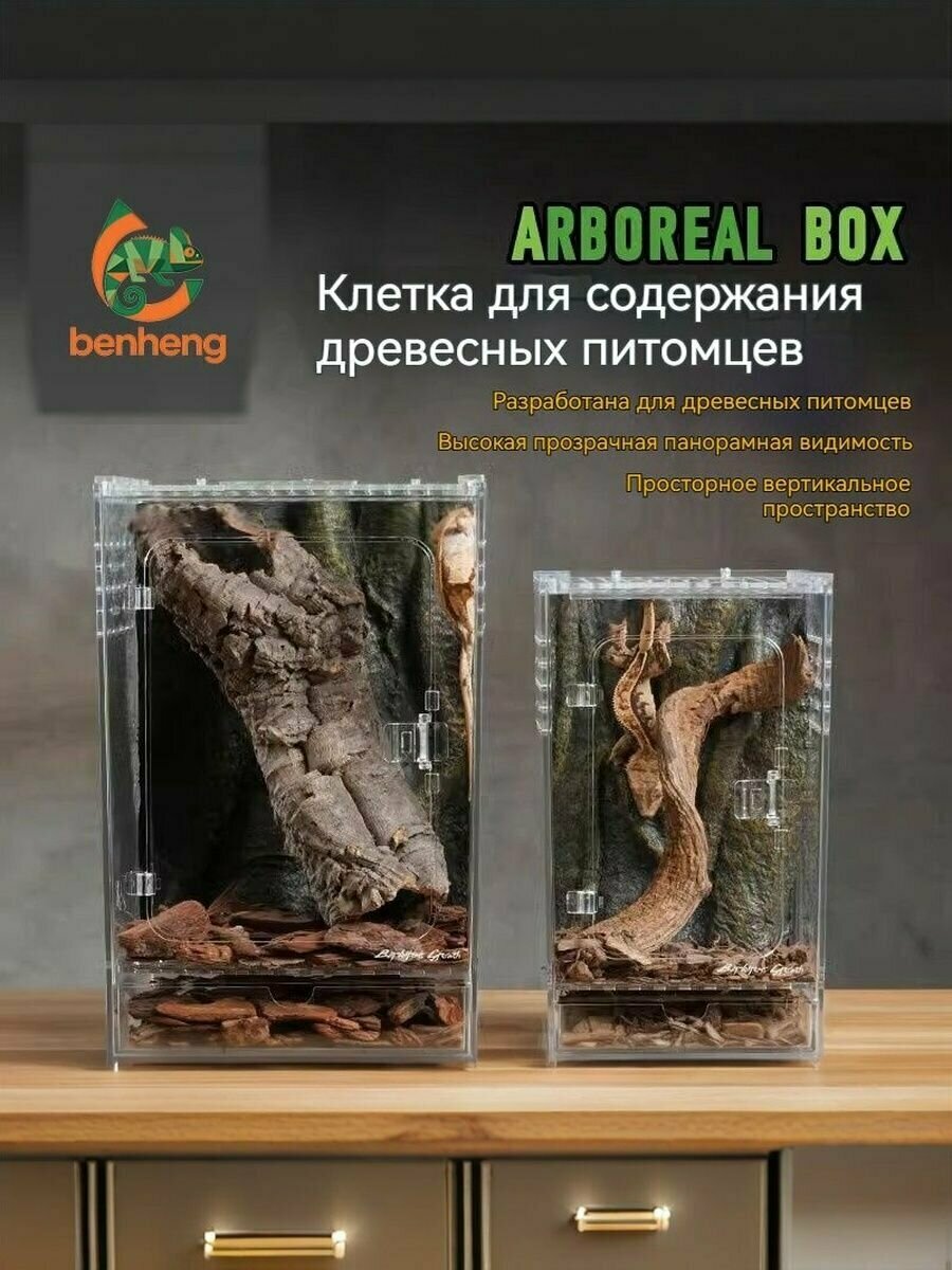 Террариум Для Рептилий Вертикальный, пауков, улиток, богомолов, палочника, ящерицы,20*20*30cm