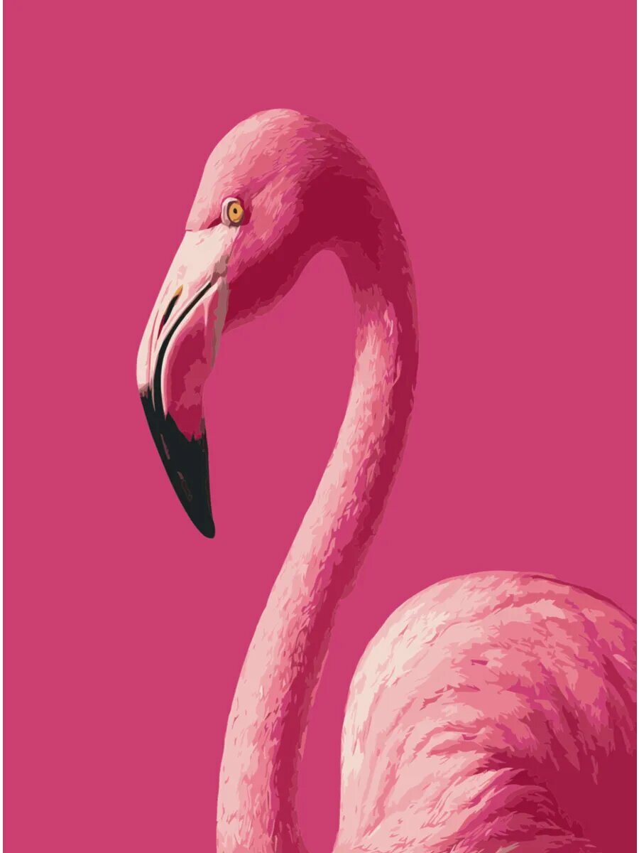 Картина по номерам фламинго