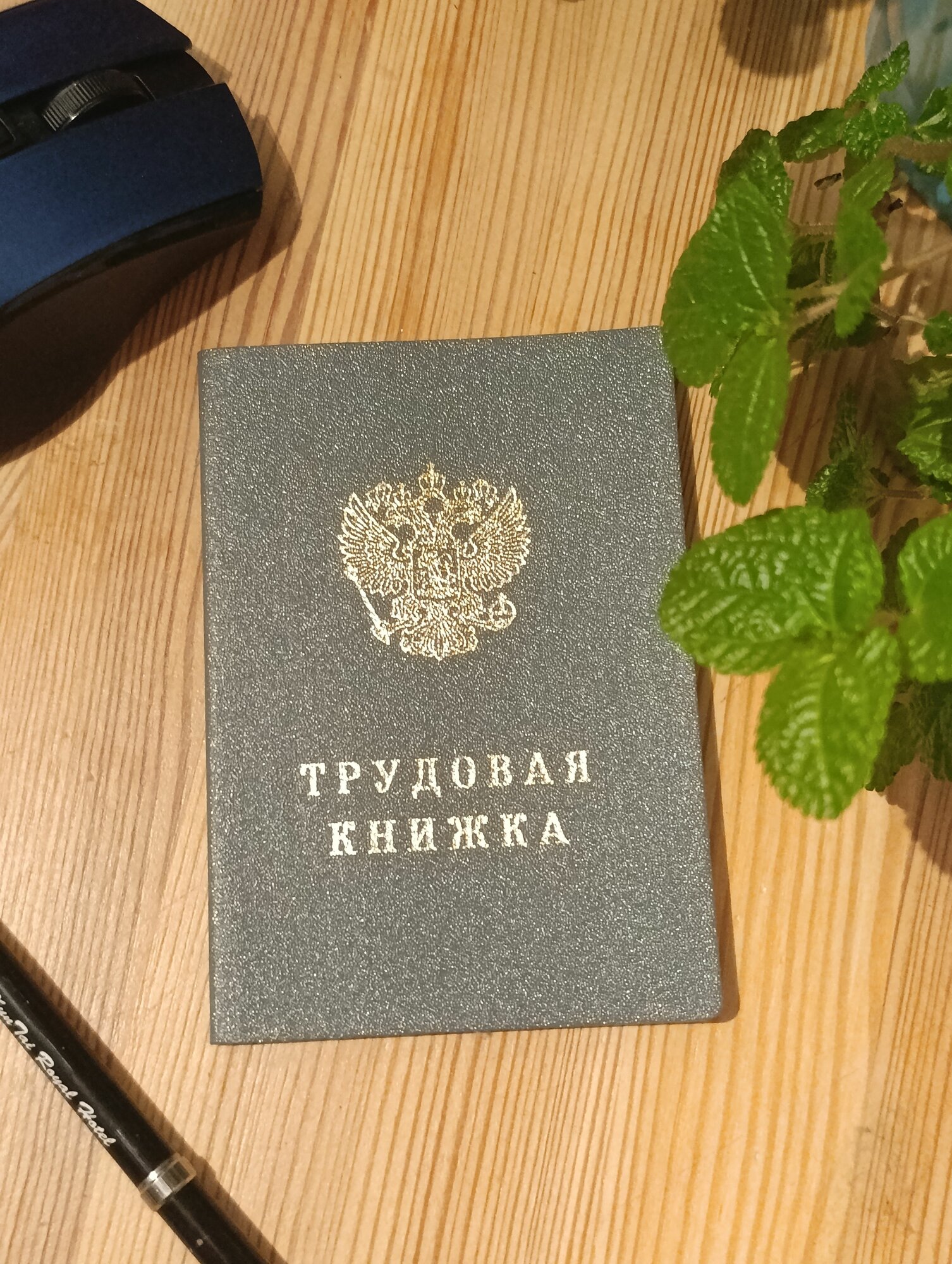 Трудовая книжка