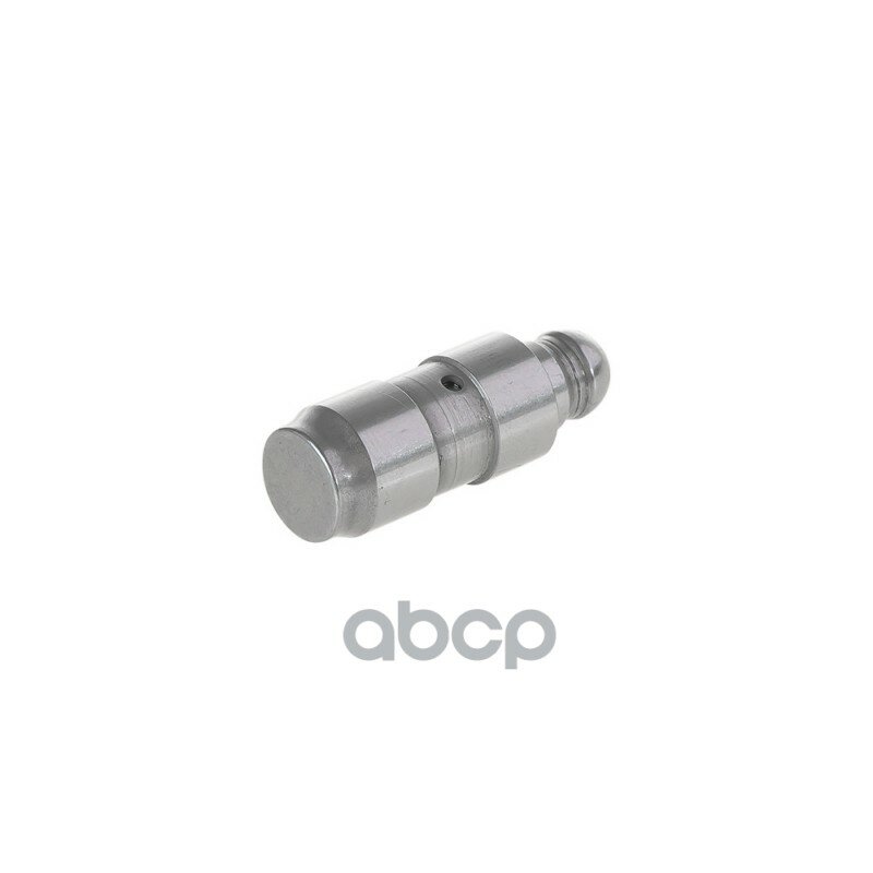 Гидрокомпенсатор Citroen C3/Xantia, Peugeot 306/406 1.4HDi/2.0HDi GANZ арт. GIE09071