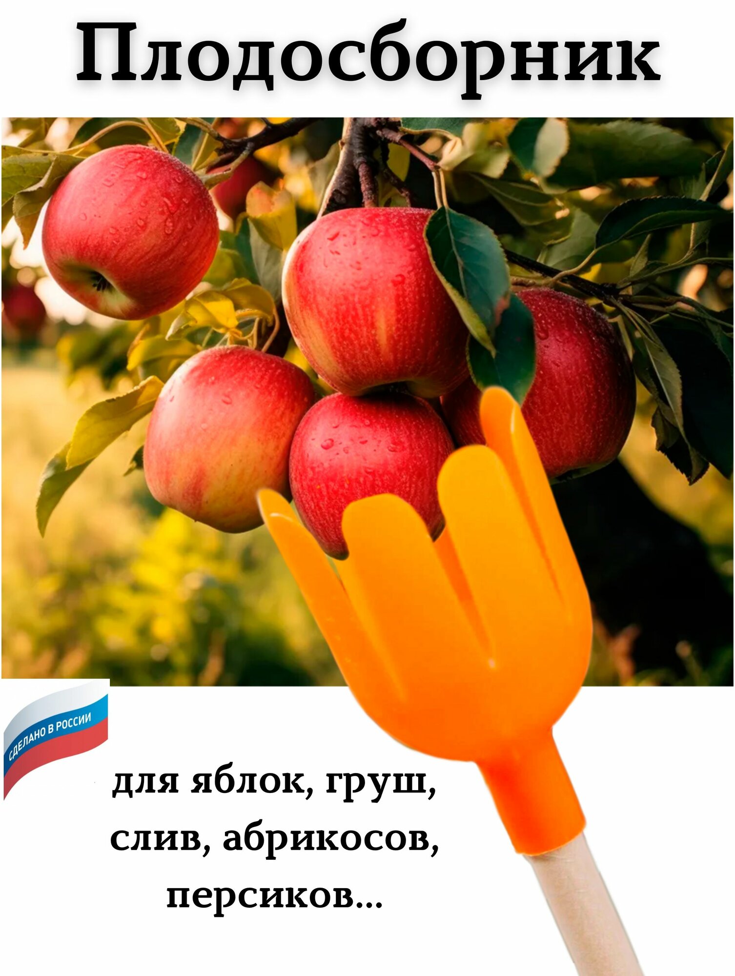 Плодосборник под черенок, цвет микс
