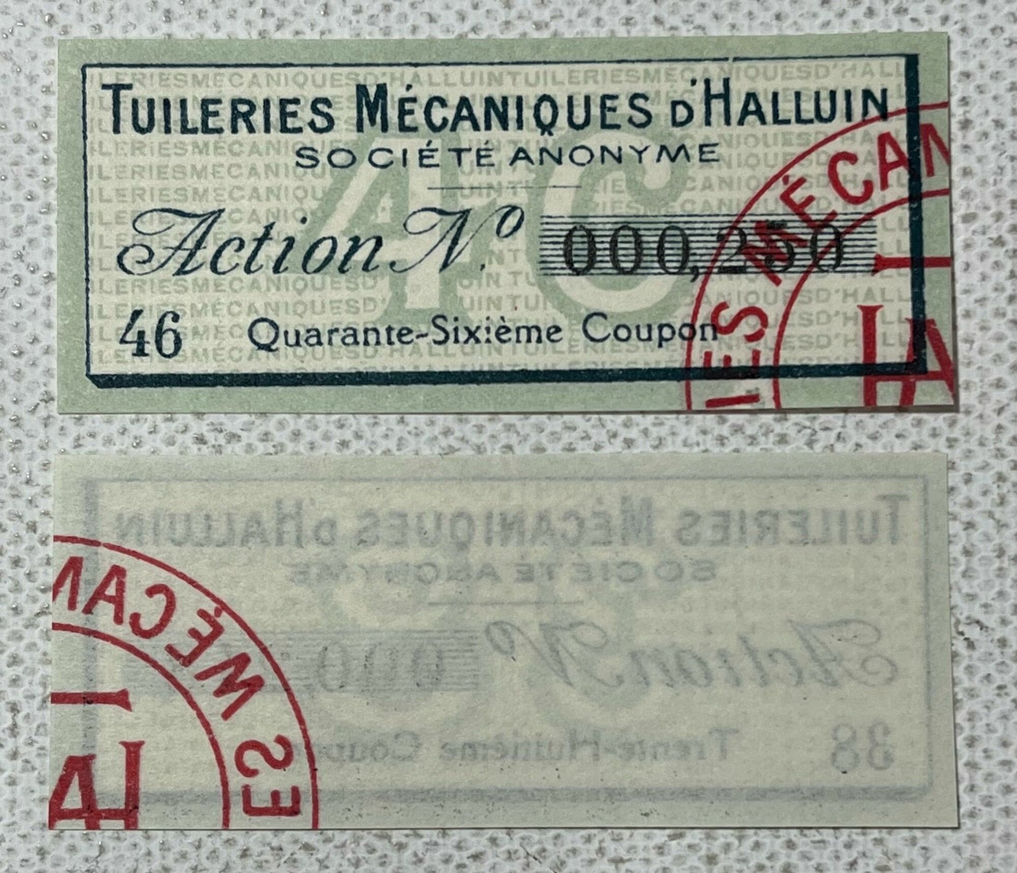 Купон от акции. Механические Тюильри Д'Халлуин