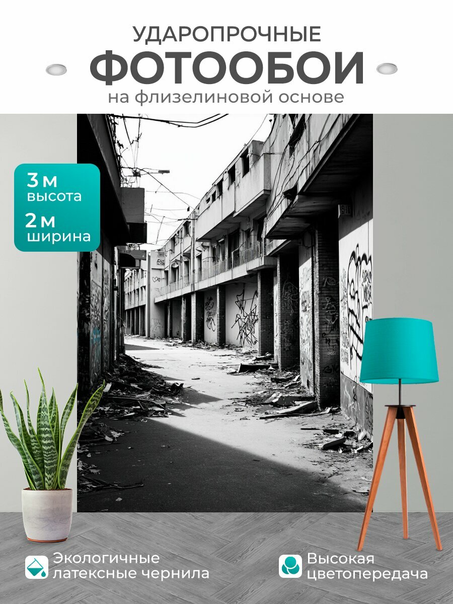 Фотообои моющиеся ударопрочные "Черно-белый с урбанистическим пейзажем заброшенного района, где граффити на стенах рассказывают истории. за каждым" 200x300 см. флизелиновые на стену